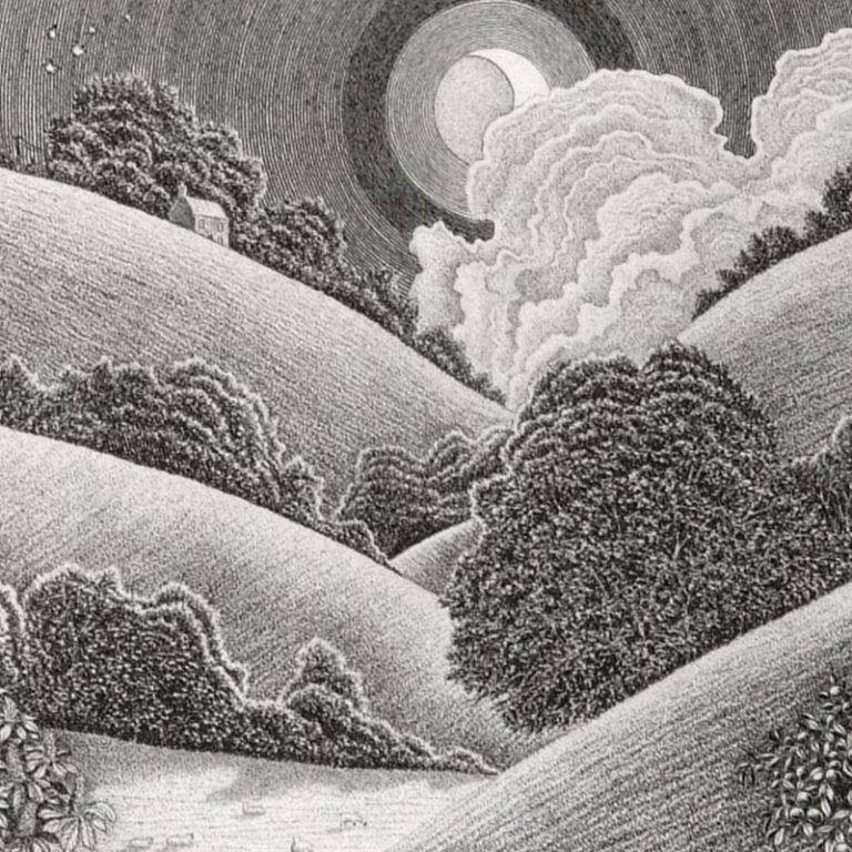 C3838 Camel Valley – Cornwall 11/90 – Brian Hanscomb – Churchgate Gallery