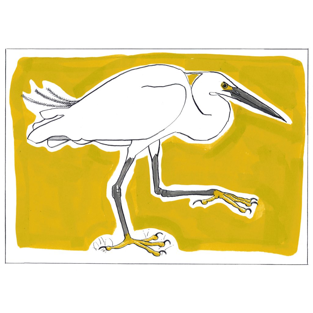 MIRANDA JOHNSTON – Churchgate Gallery