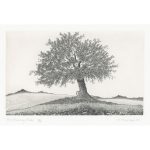 BRIAN HANSCOMB – Churchgate Gallery