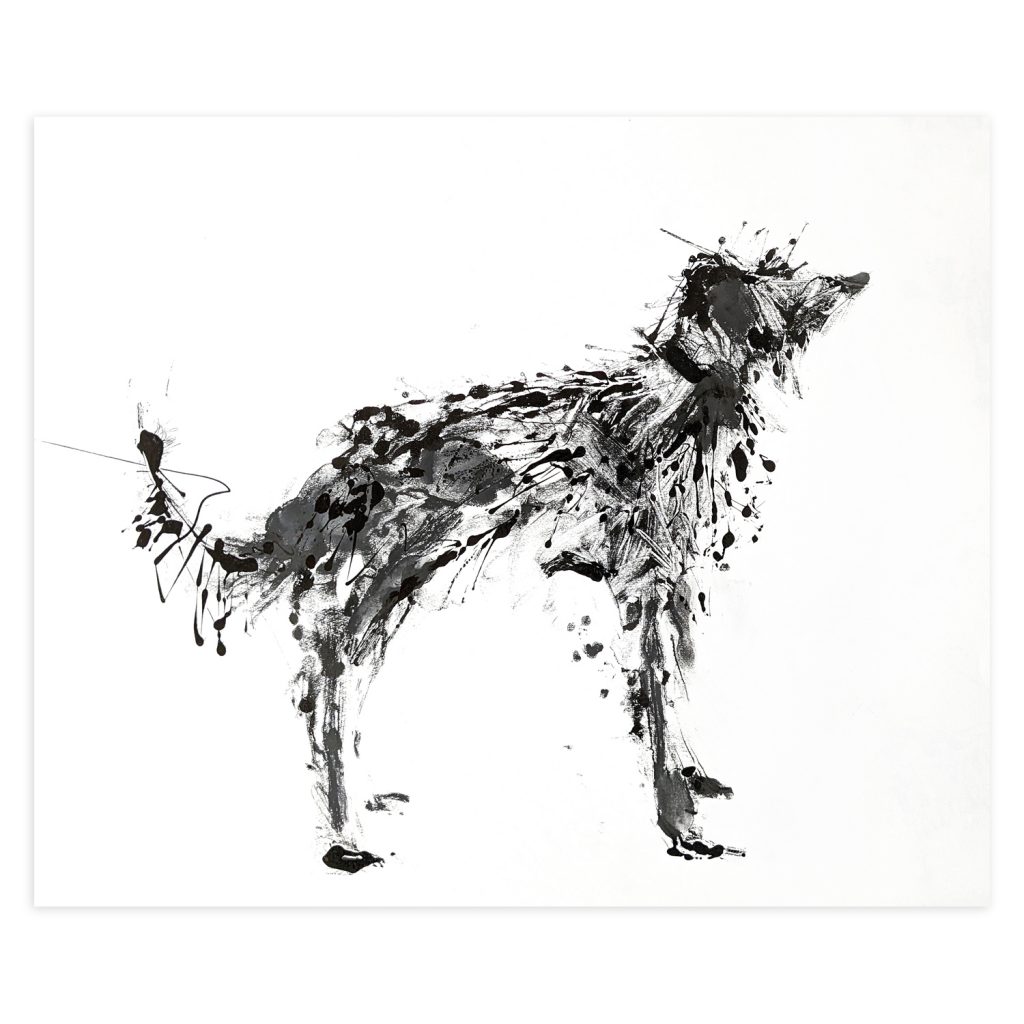 SALLY MUIR – Churchgate Gallery