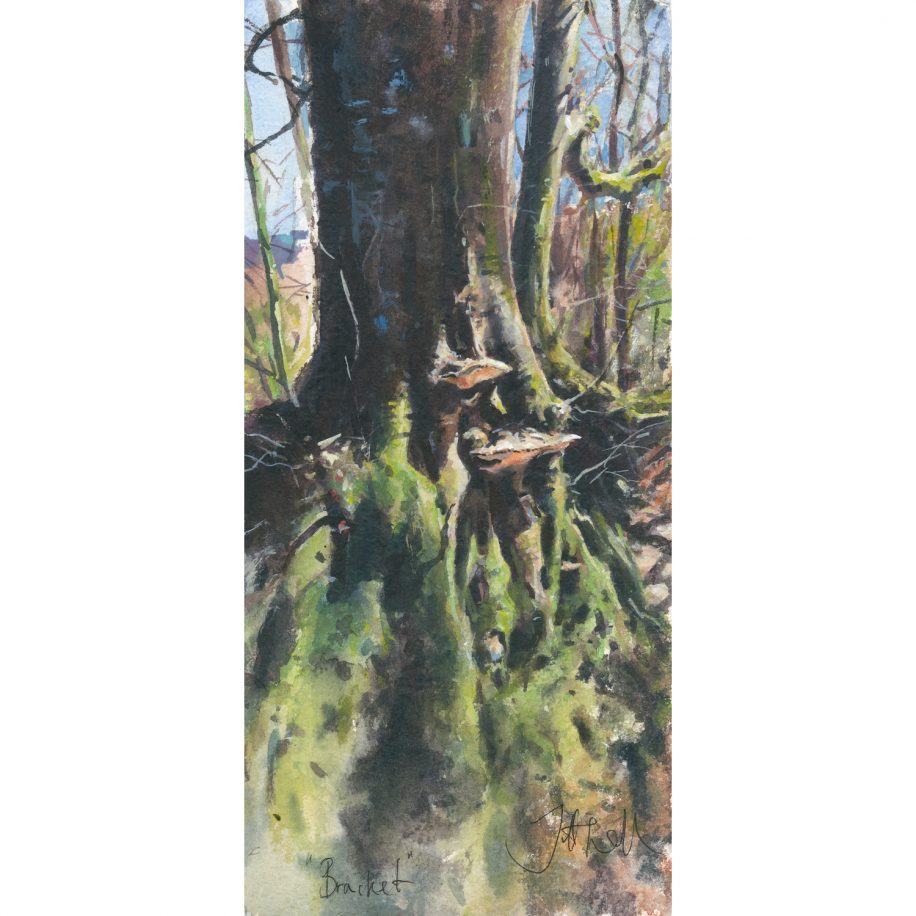 JONATHAN WALKER – Churchgate Gallery